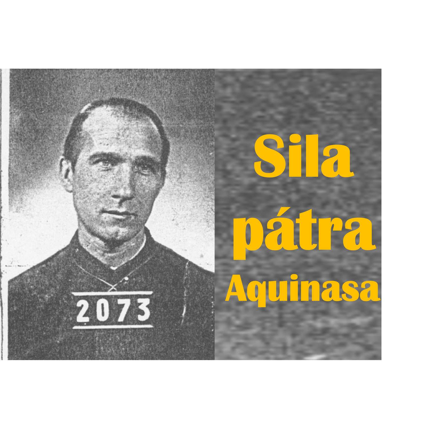 Sila pátra Aquinasa | Soundtier – Nejlepší podcasty na jednom místě